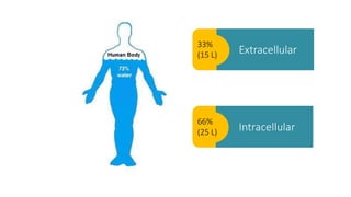 Volume of distribution... | PPTX