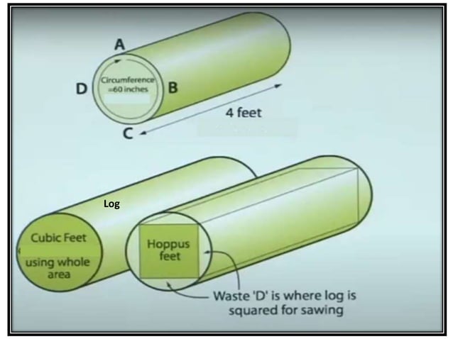 How to calculate Volume of logs | PPTX