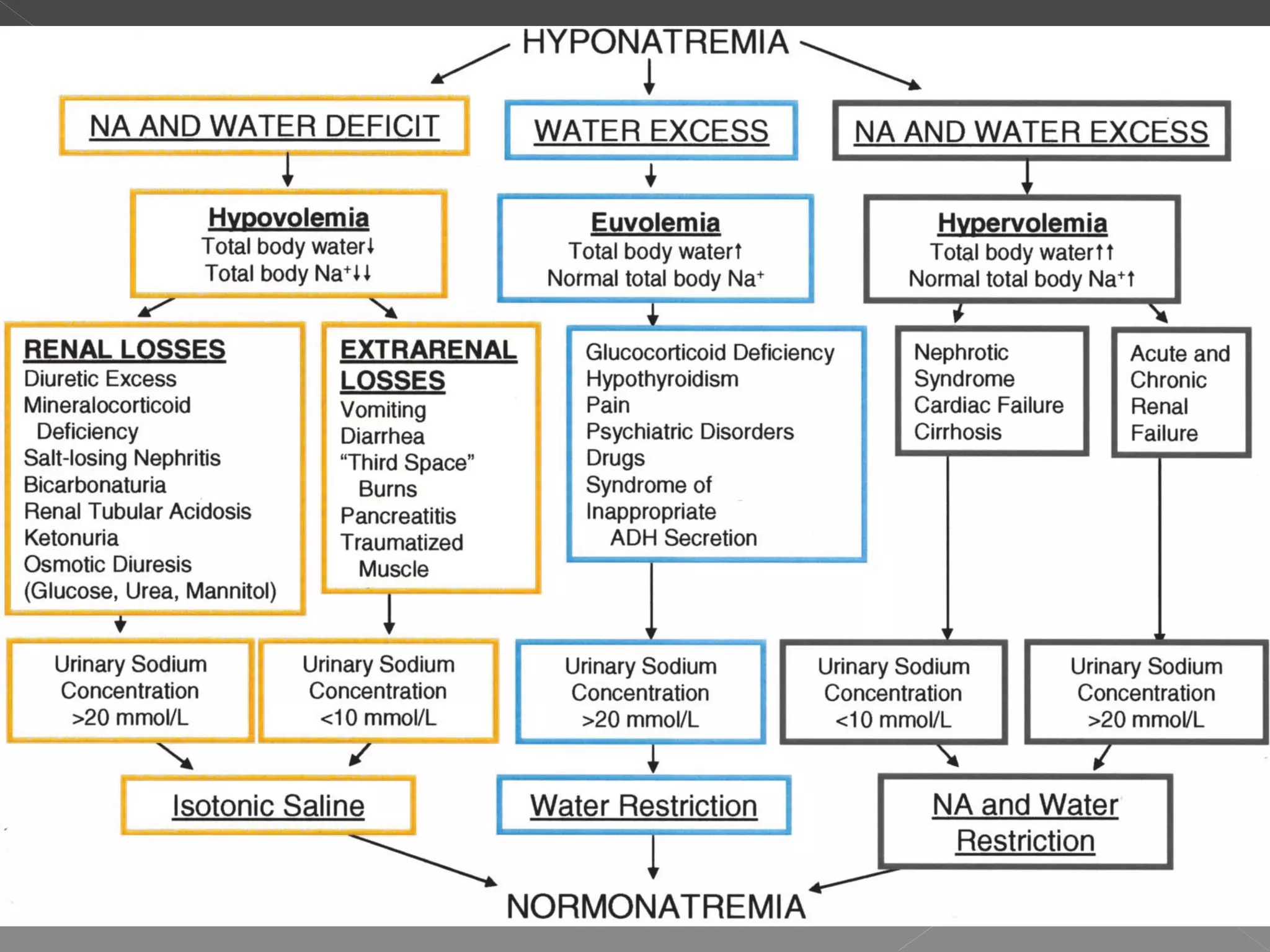 Sodium and Water homeostasis | PPT