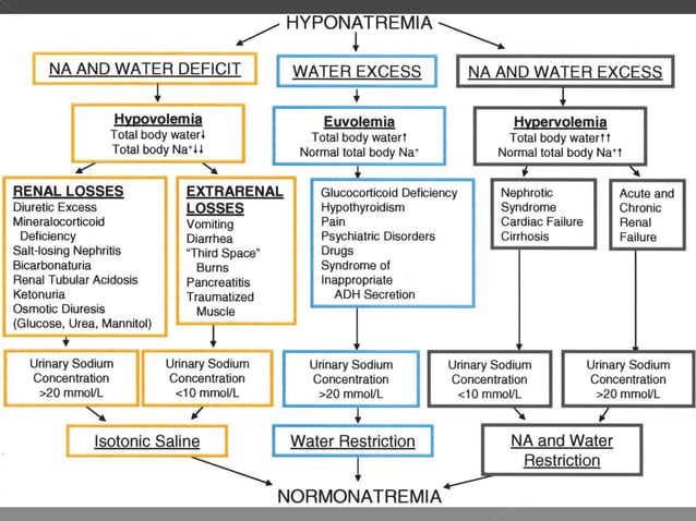 Sodium and Water homeostasis | PPT | Chemistry | Science