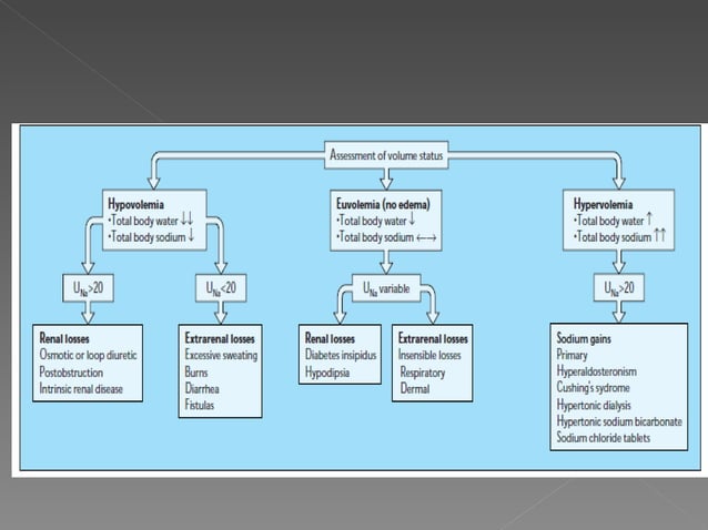 Sodium and Water homeostasis | PPT | Chemistry | Science