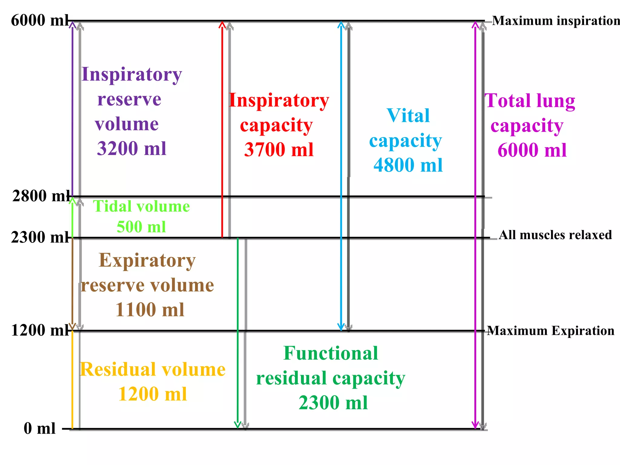 Volumes capacities 2 | PPT