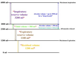 Volumes capacities 2 | PPT