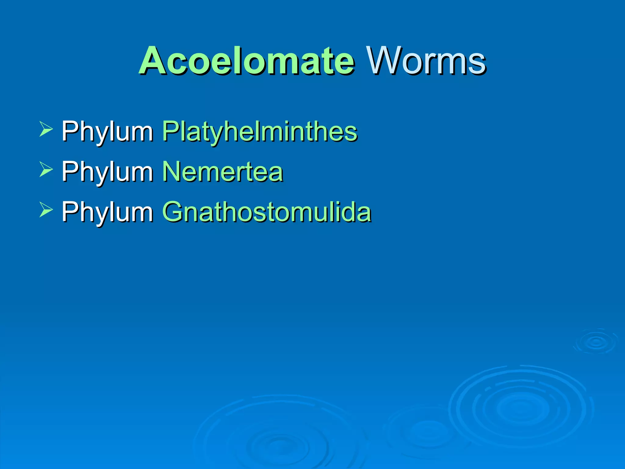 Flatworms | PPT
