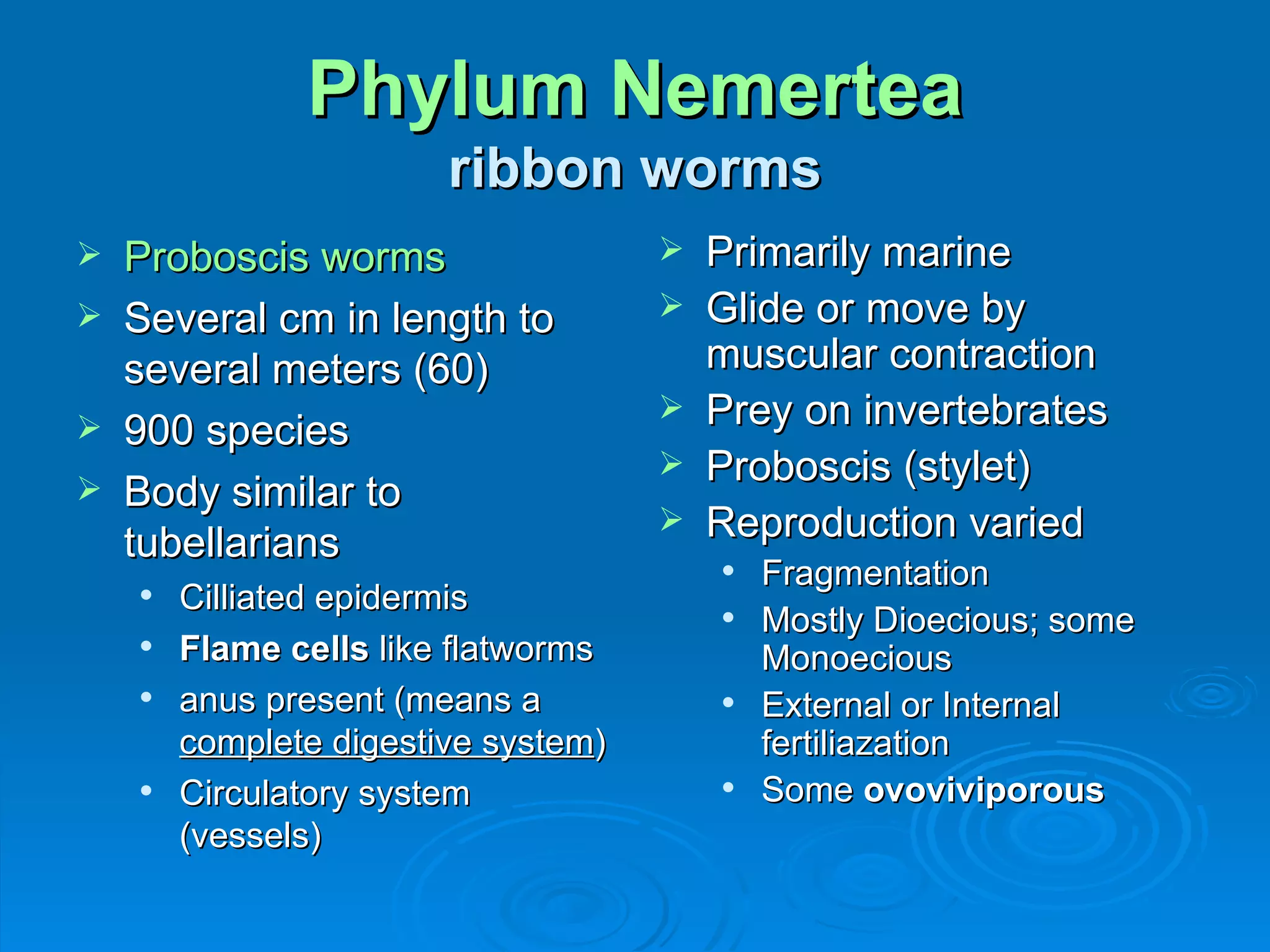 Flatworms | PPT