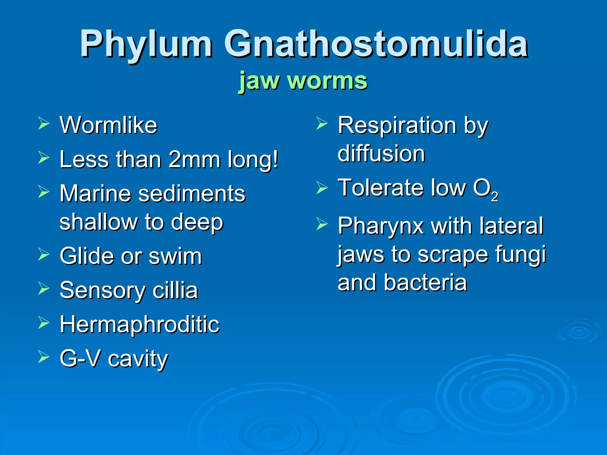 Flatworms | PPT