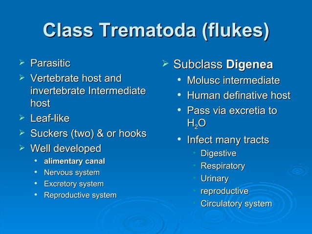 Flatworms | PPT | Biological Sciences | Science
