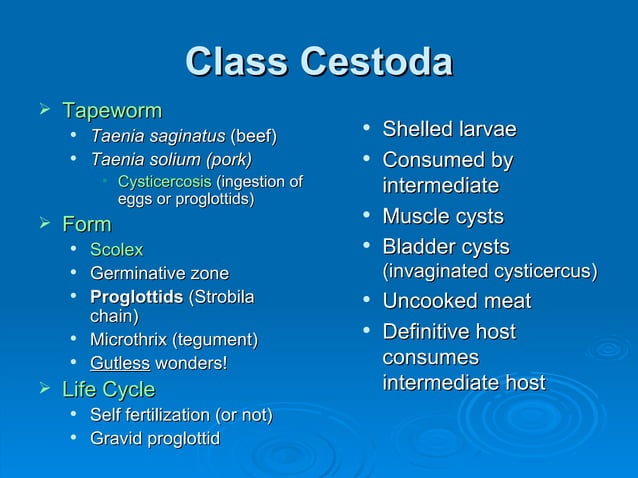 Flatworms | PPT | Biological Sciences | Science