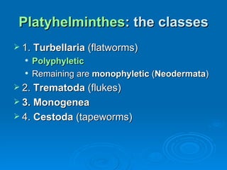 Flatworms | PPT