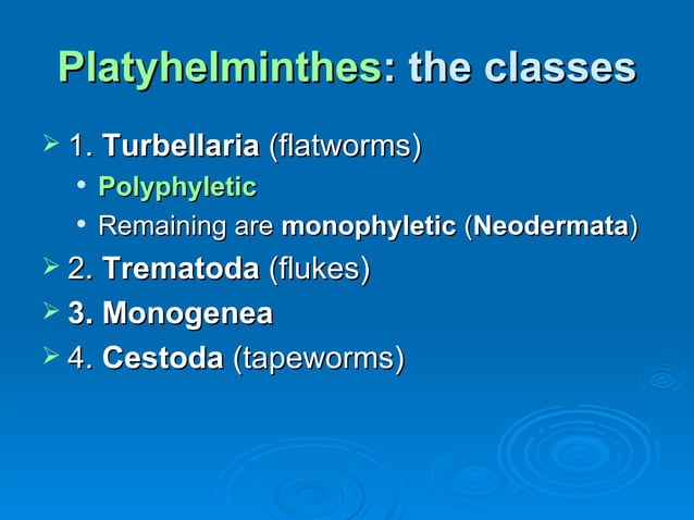 Flatworms | PPT | Biological Sciences | Science