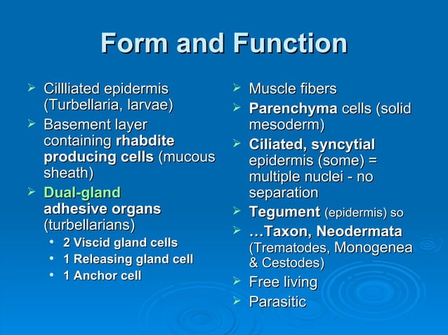 Flatworms | PPT | Biological Sciences | Science