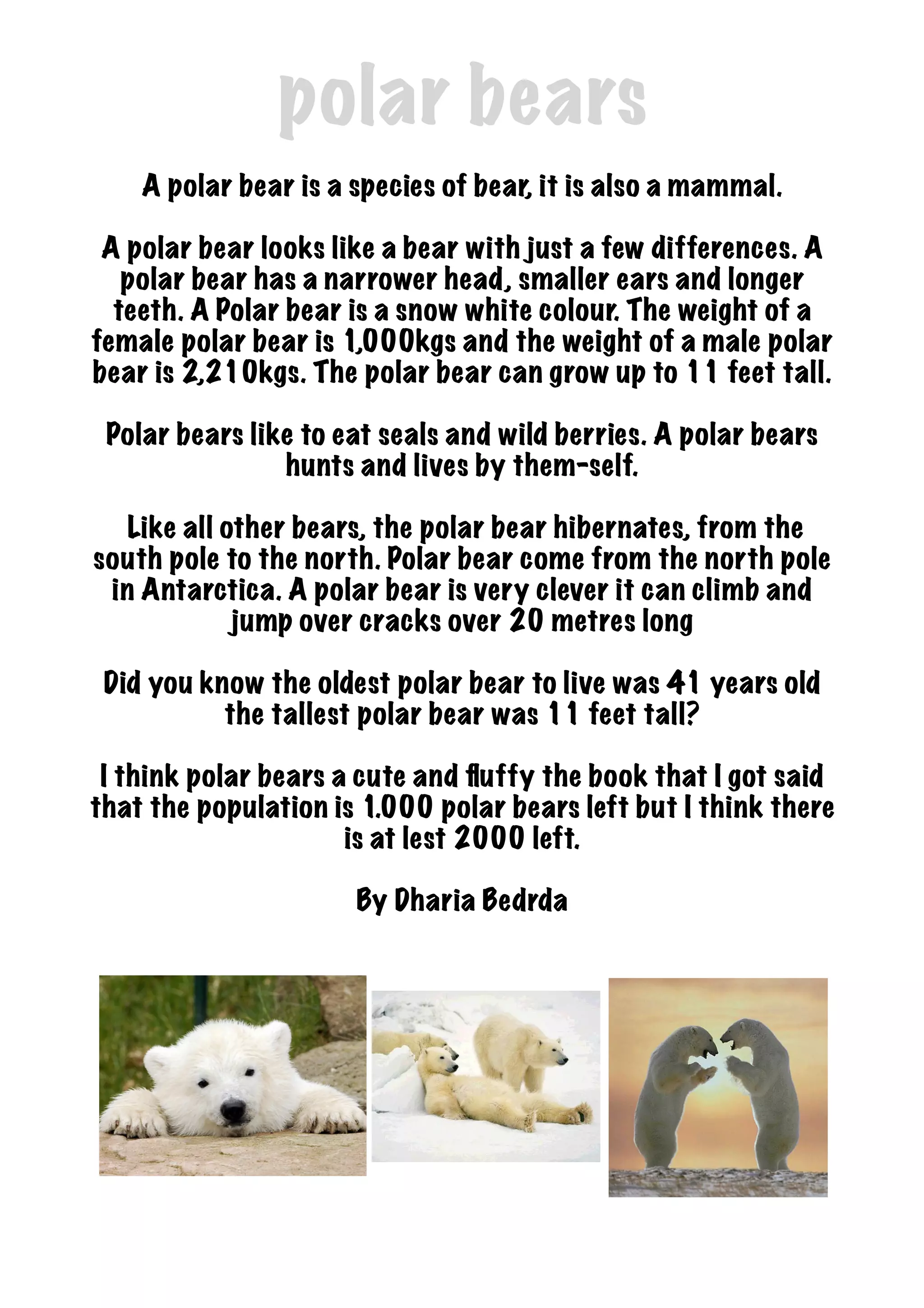 polar bears | PDF