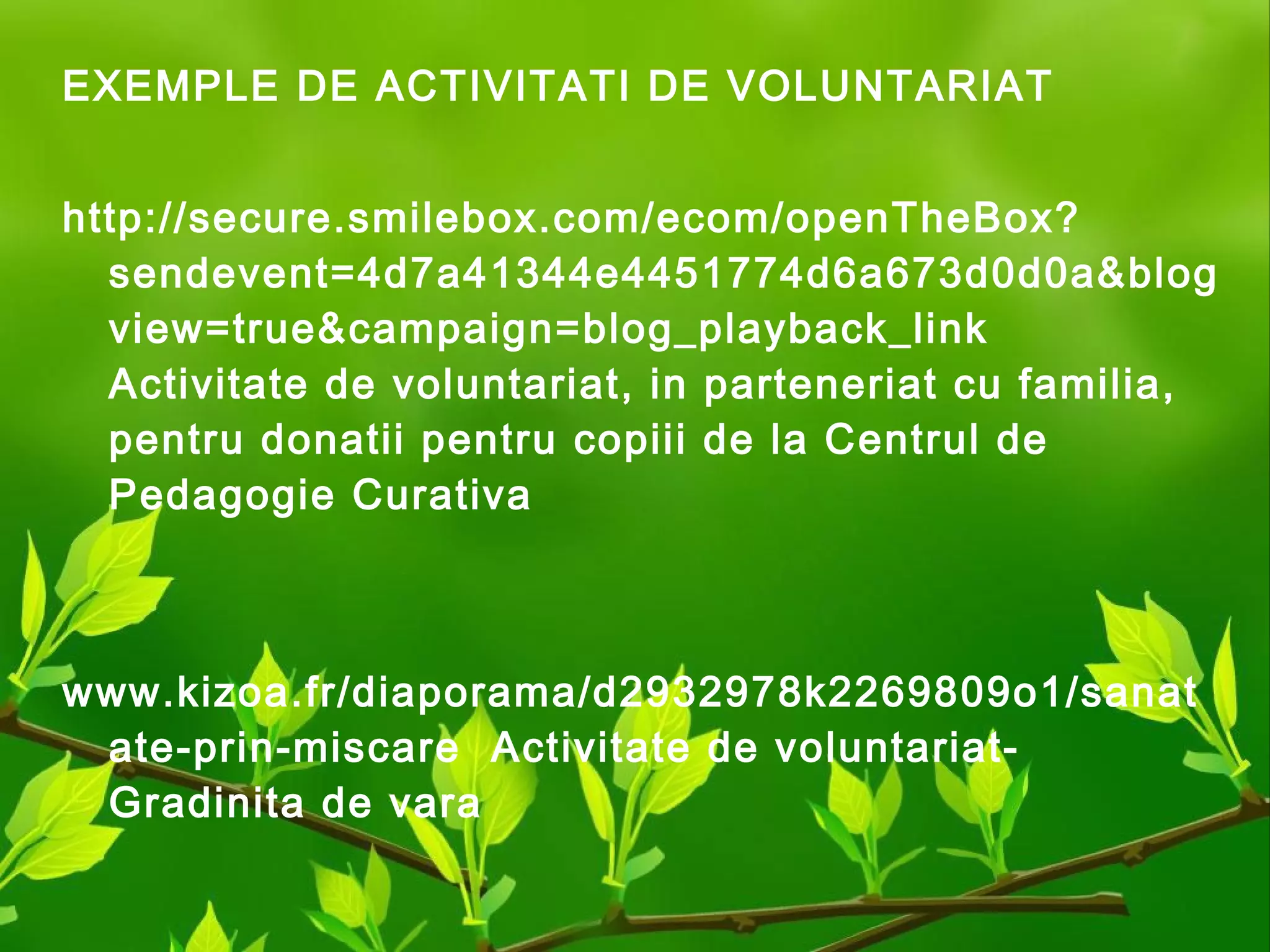 Voluntariatul | PPT