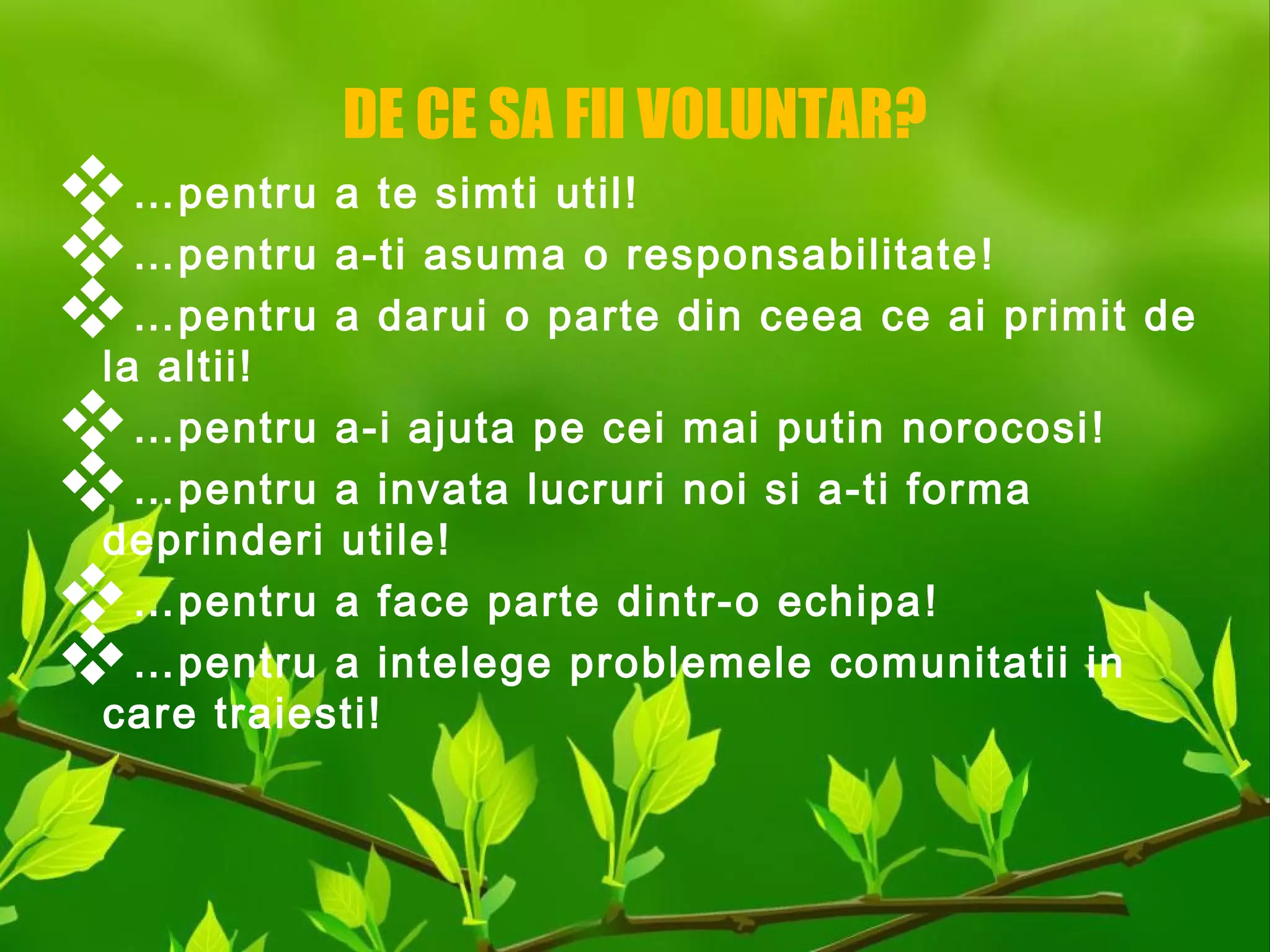 Voluntariatul | PPT