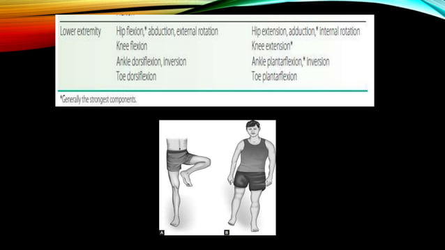 Voluntary Control and Assessment Physiotherapy Perspective.pptx
