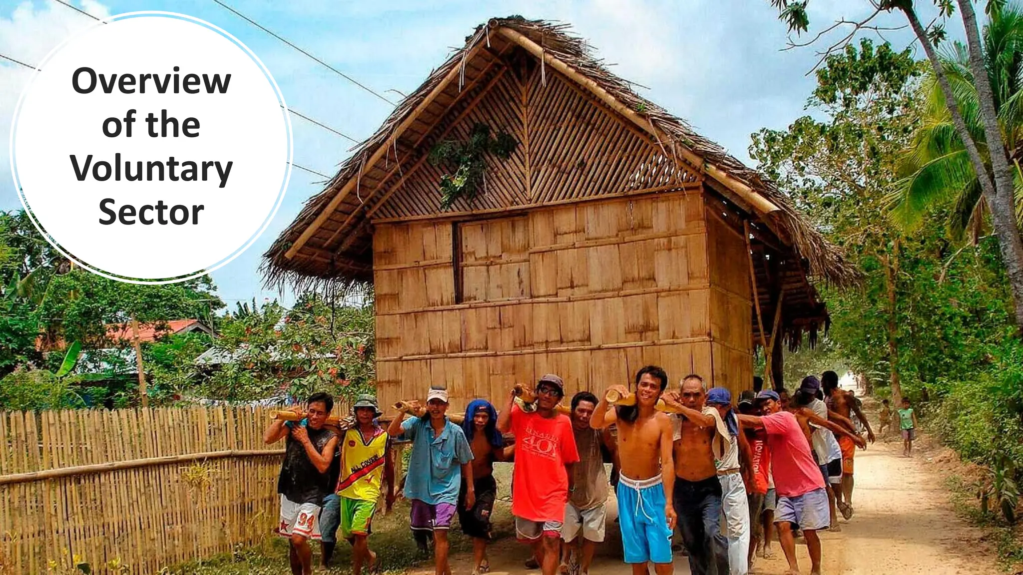 Public Administration: Voluntary Sector Management | PDF