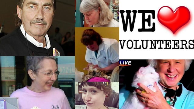 Volunteer Appreciation Powerpoint | PDF