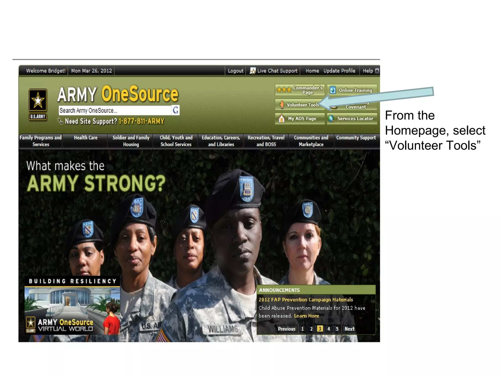 Volunteer management information system tutorial FRSA 710 2-87 3BCT | PPT