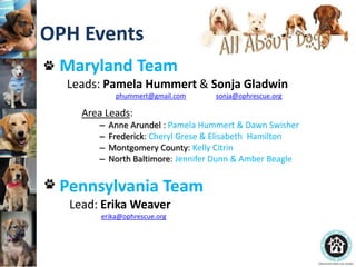 OPH Volunteer seminar | PPT