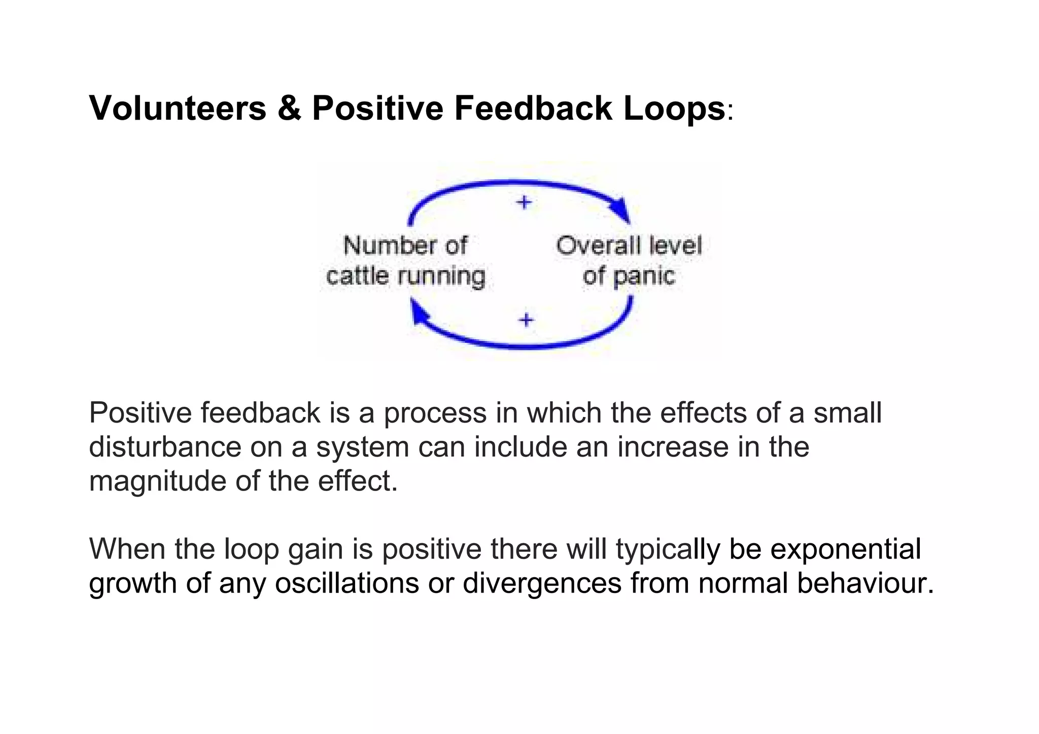 Volunteers & positive feedback loops | PPT