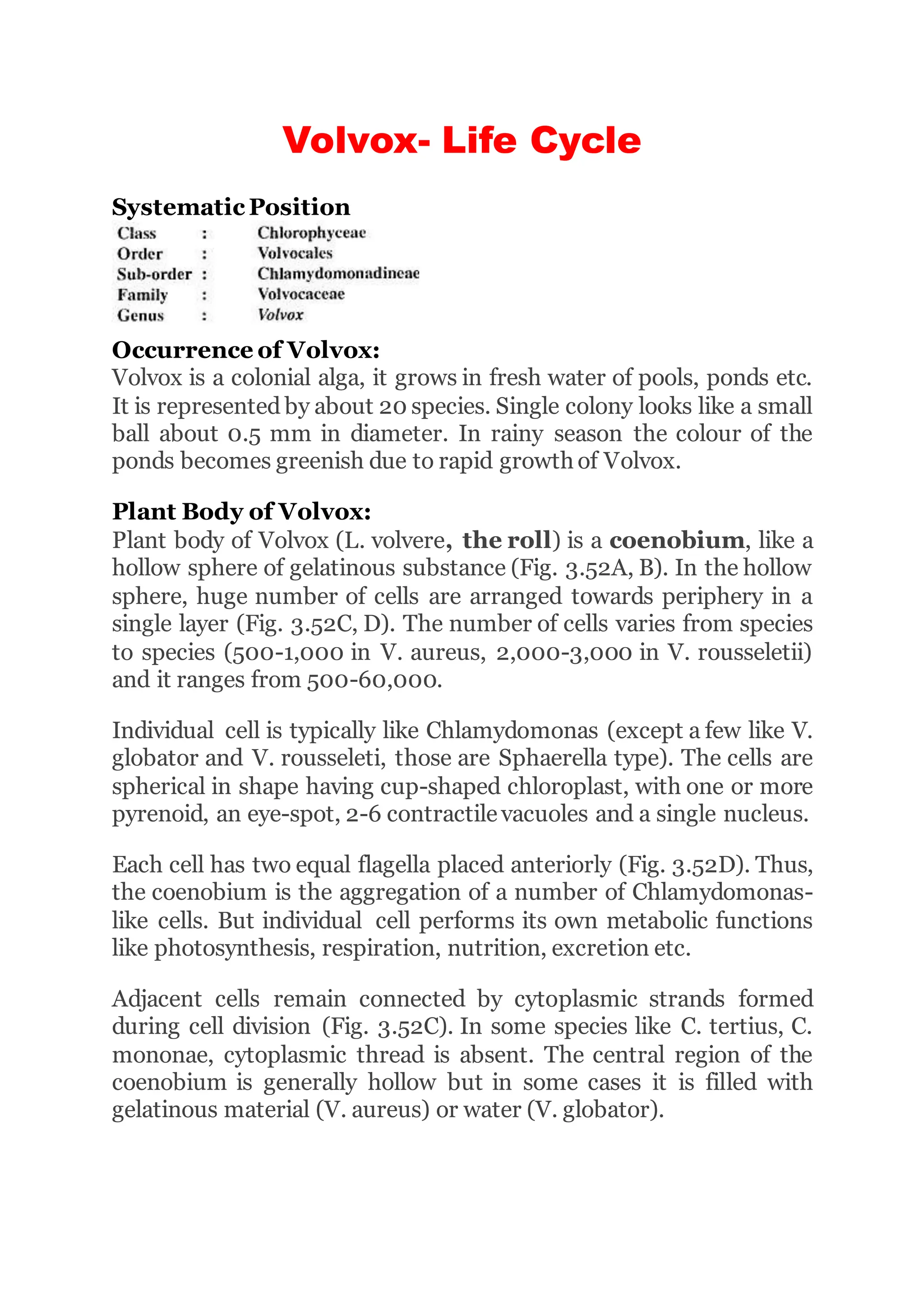 Volvox-Life Cycle and rolling algae in bsc 1 sem | PDF