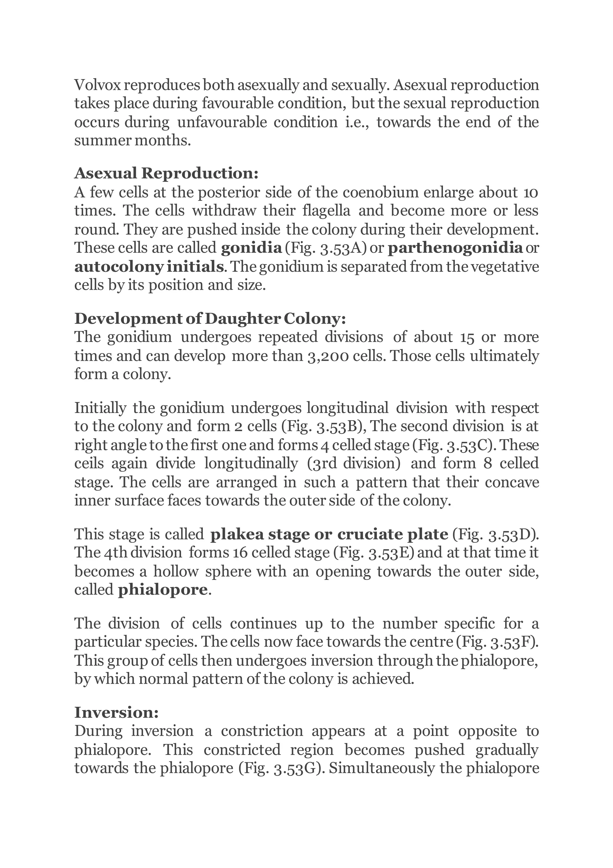 Volvox-Life Cycle and rolling algae in bsc 1 sem | PDF