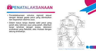 Refarat Volvulus Sigmoid | PPTX