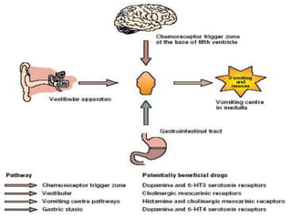 Treatment and Causes of Nausea and Vomiting | PDF