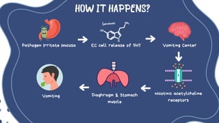 Physiology behind of vomiting include the nerve control | PDF