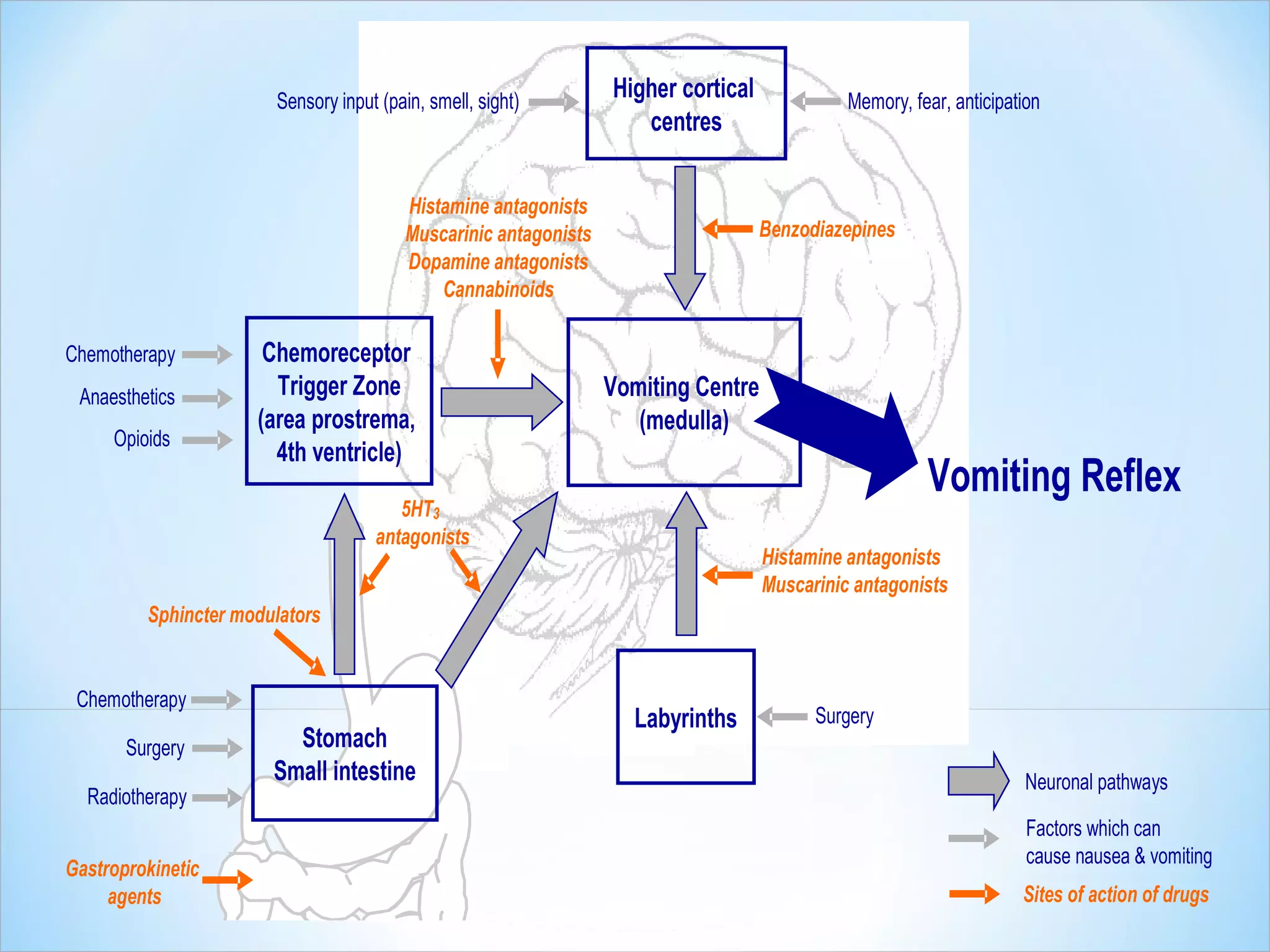 Vomiting ppt (lcps) | PPT