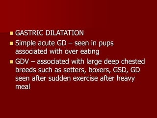 Vomiting in Dogs | PPT