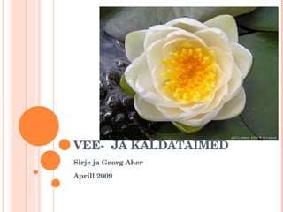 Vooluveekogude Taimed | PPT