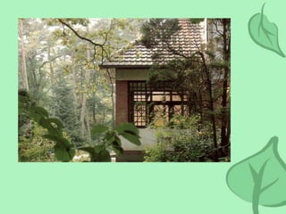 Voorstelling bosklassen 2016 | PPT