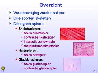 Voortbeweging | PPT
