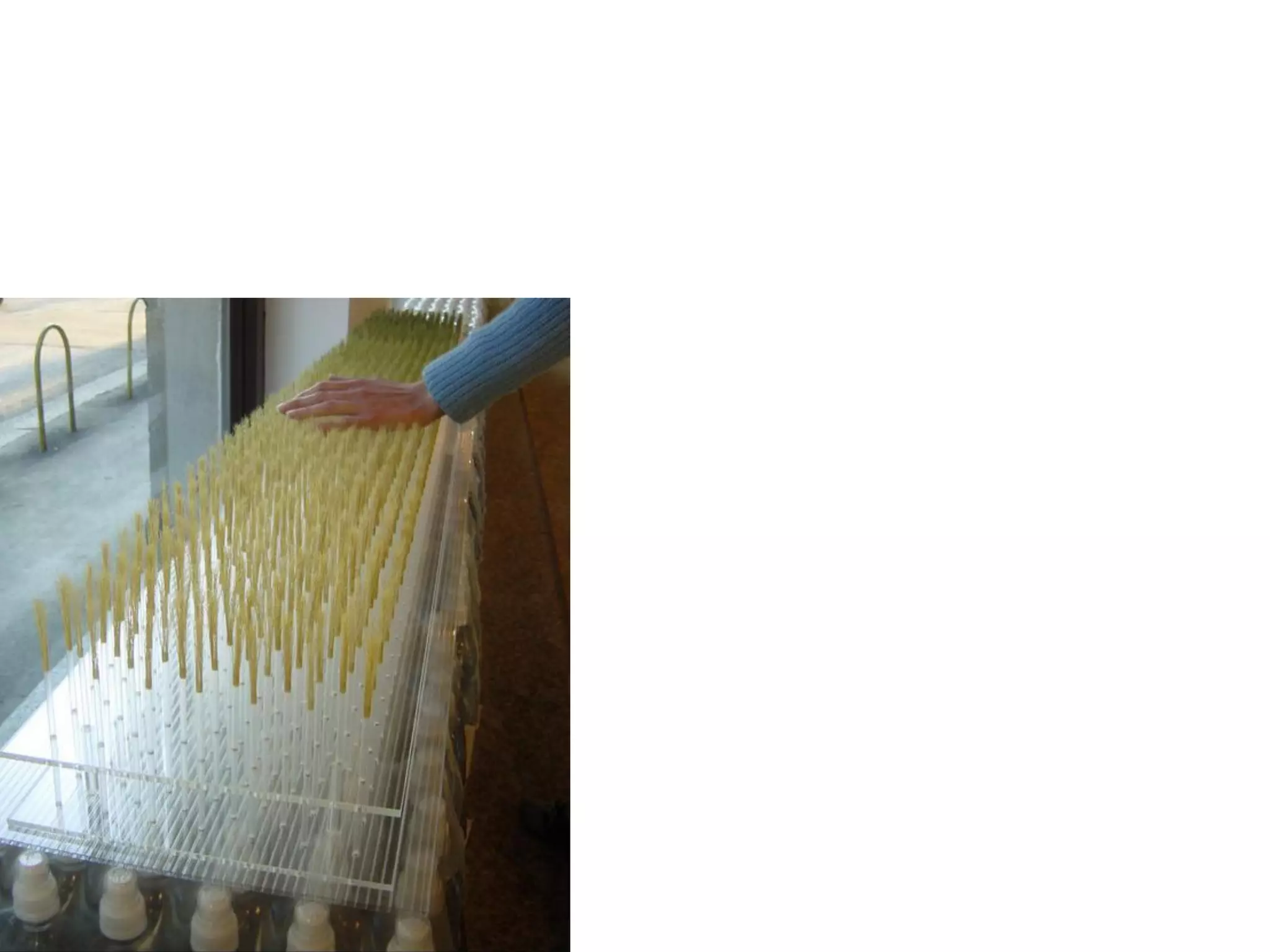 Vorm en structuur | PDF