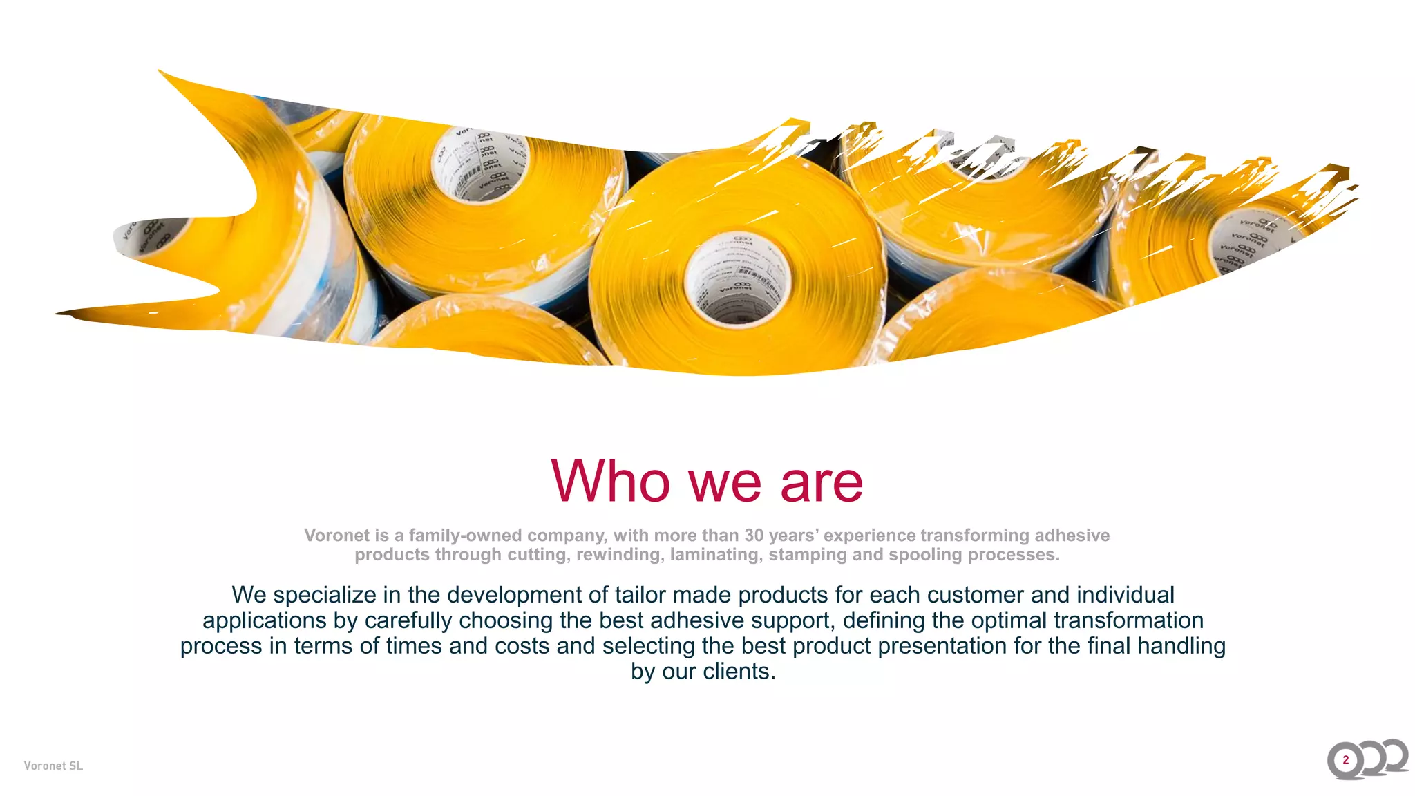 Voronet company presentation | PDF