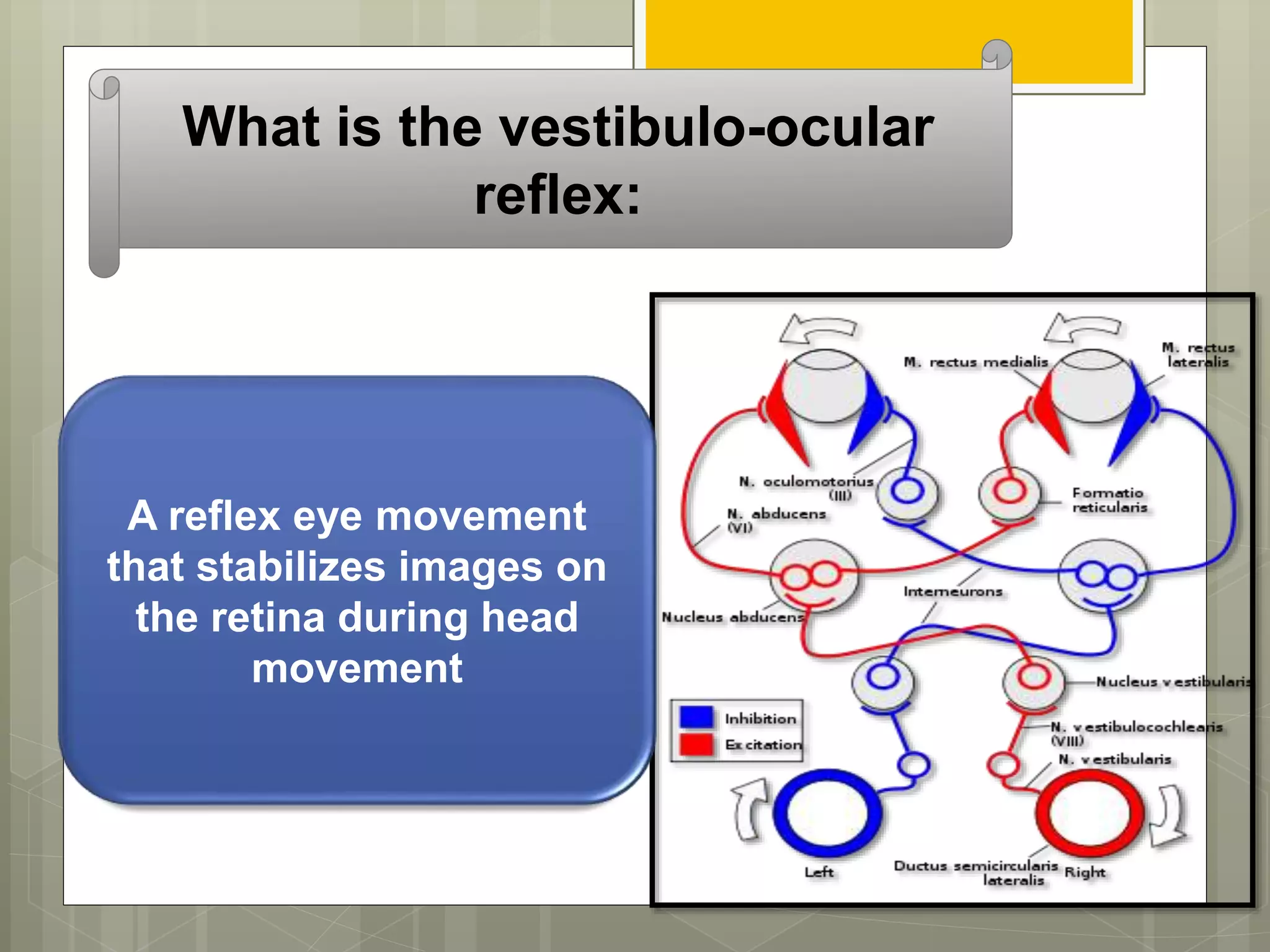 Vor tests and vertigo treatment | PPTX