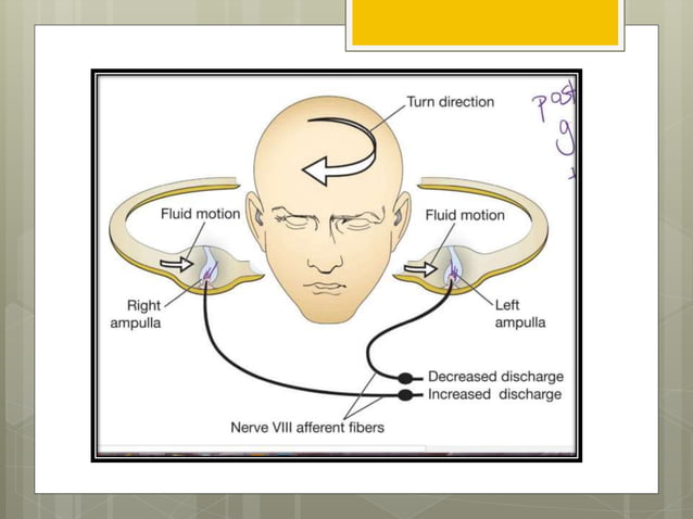 Vor tests and vertigo treatment