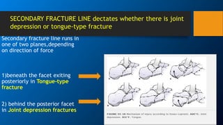 Calcaneum fracture- pathoanatomy & various fracture pattern | PPTX