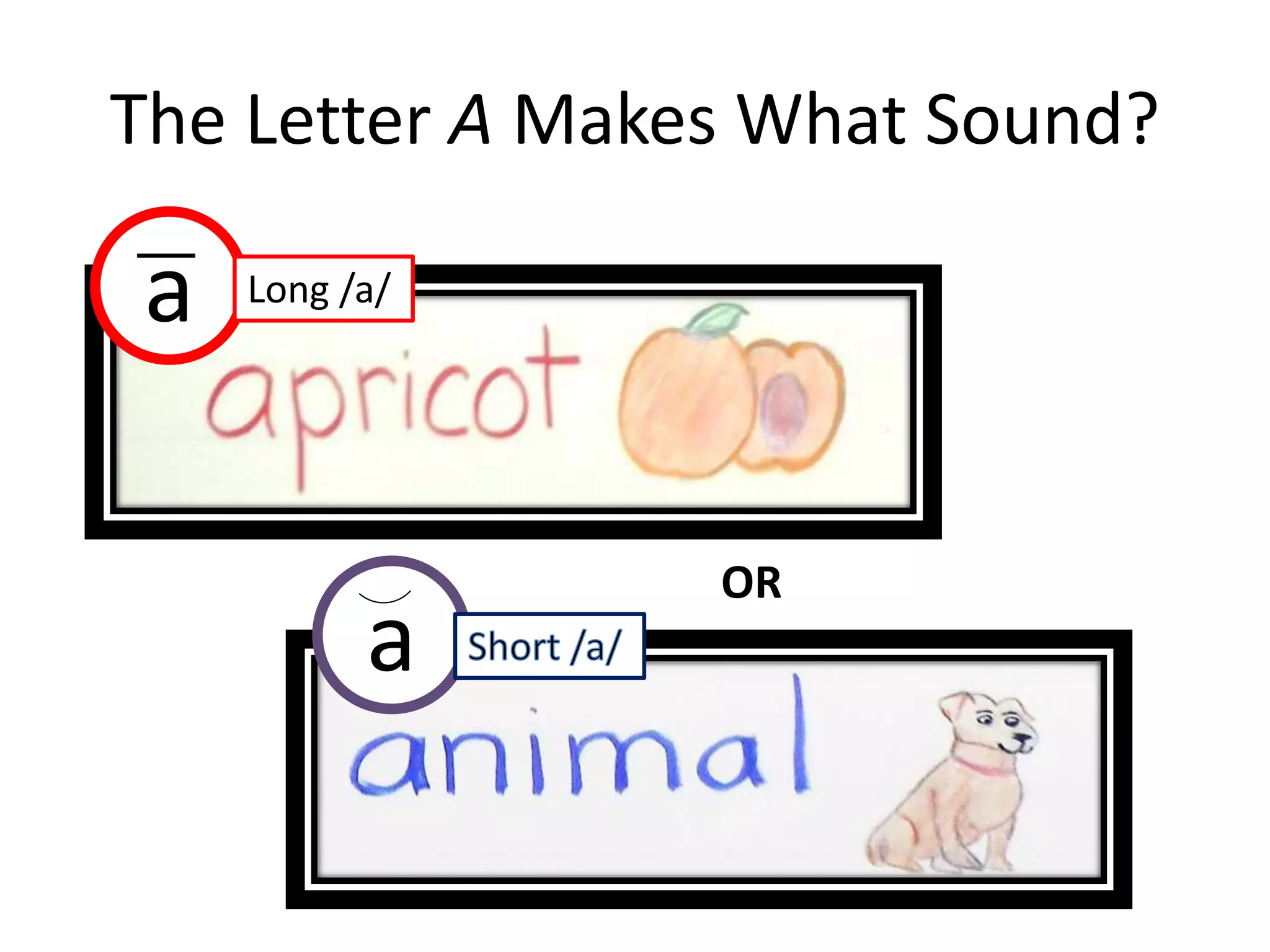 Vowel /a/ long or short? | PPTX