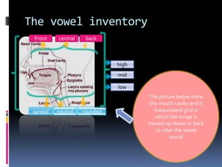 Vowel description by silvia carrera | PPTX