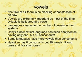 Vowel Label | PPT
