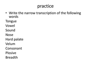 Vowels | PPTX