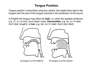 Vowels | PPTX