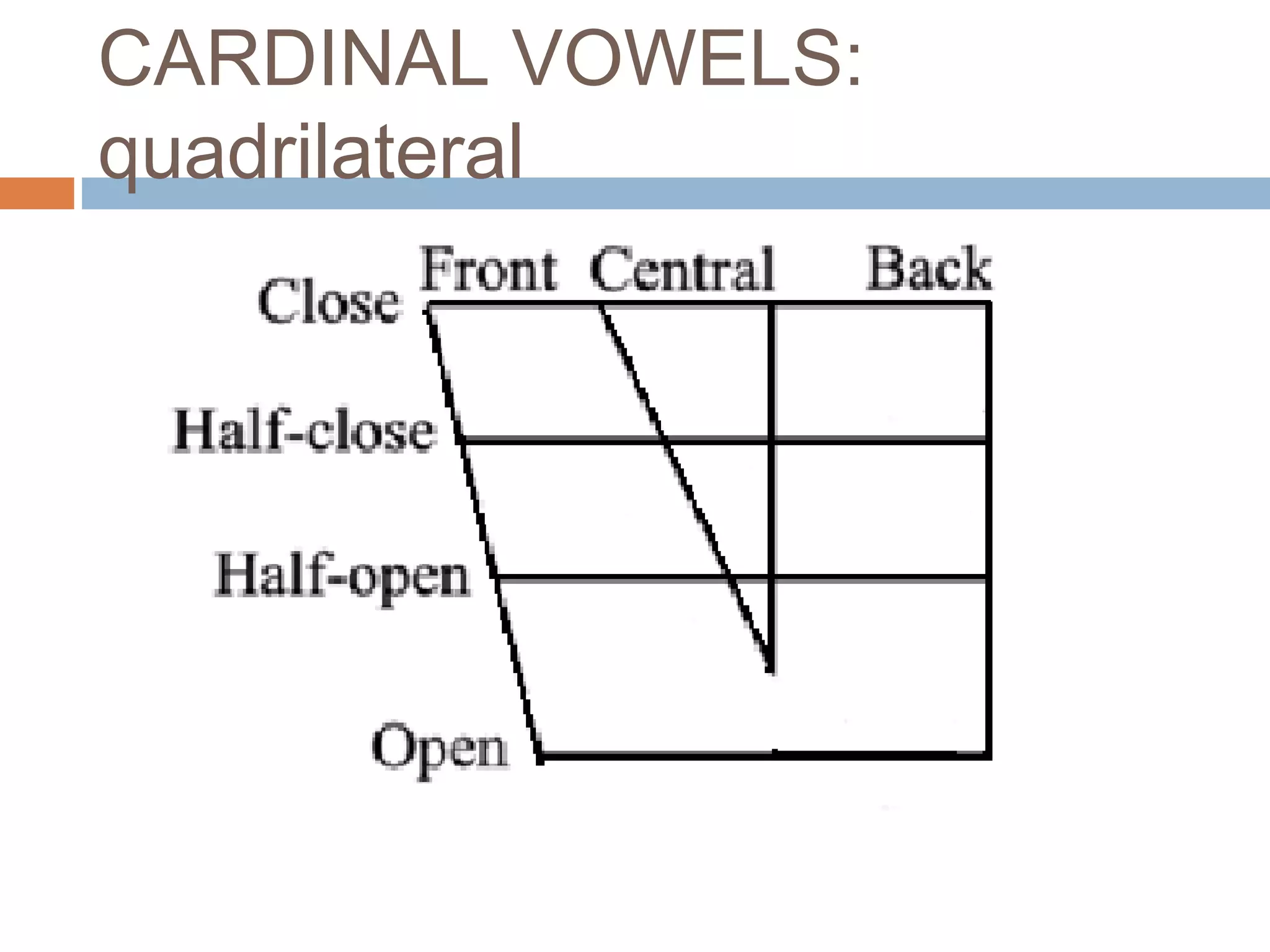 Vowels | PPT