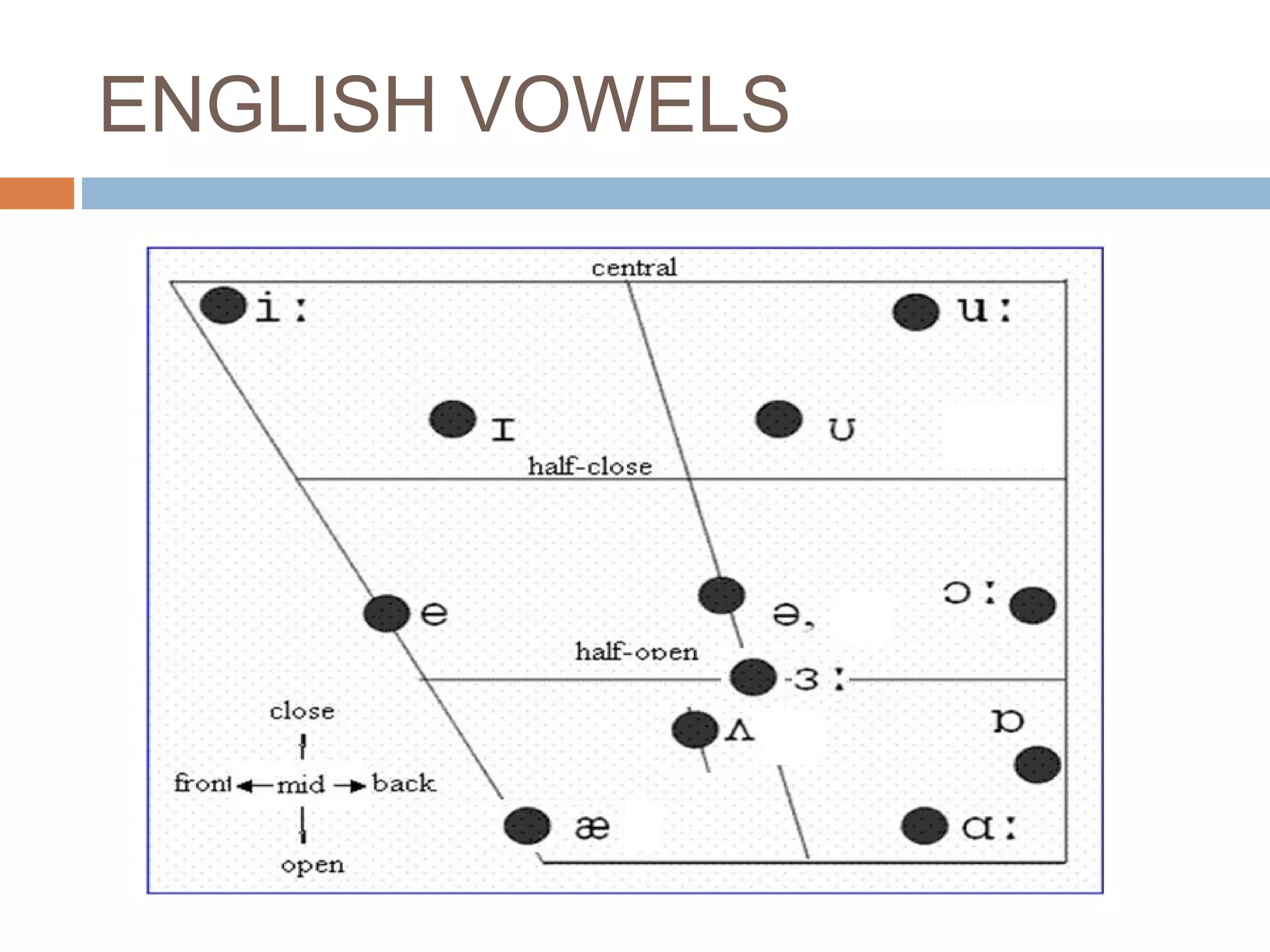 Vowels | PPT