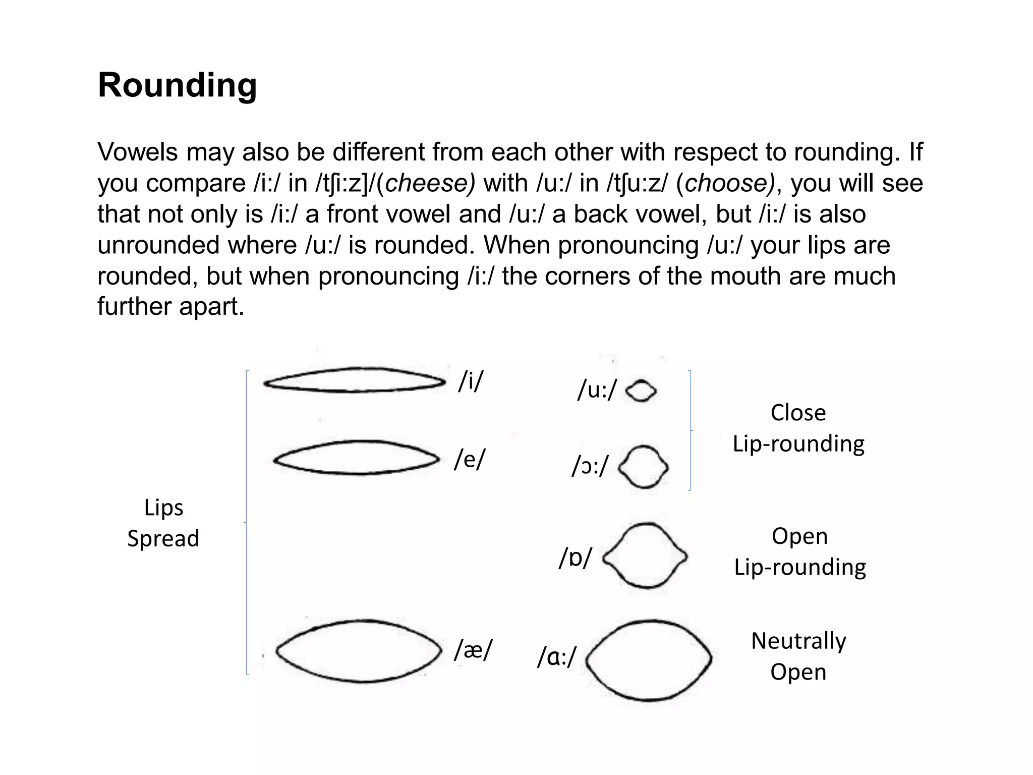 English Vowel Sounds - Phonetics and Phonology | PPTX