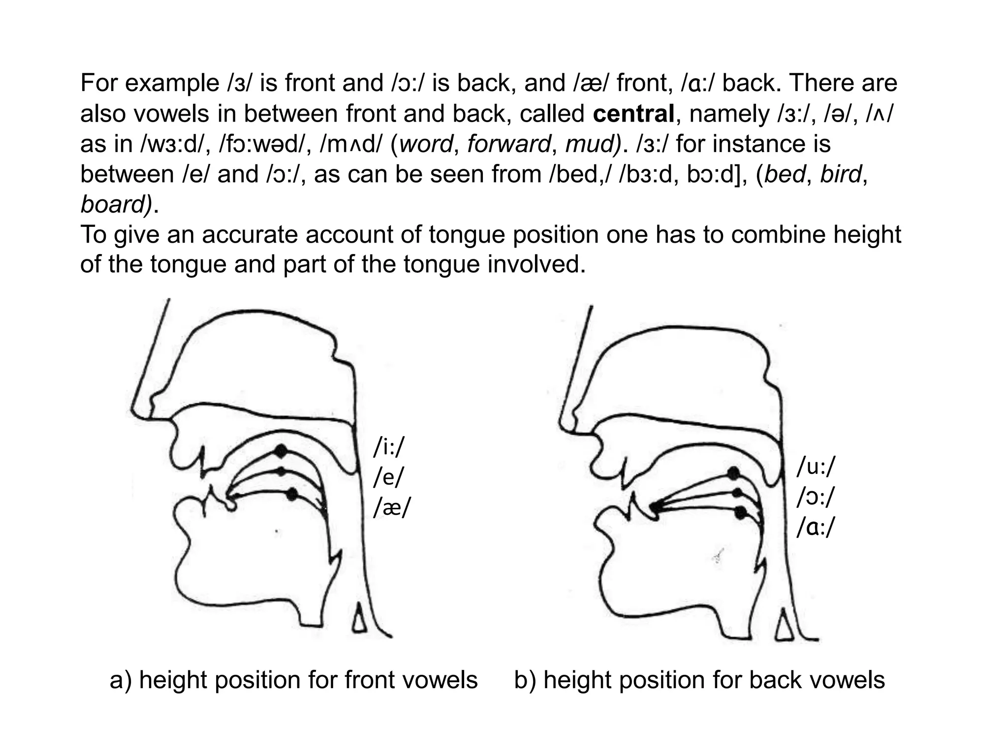 English Vowel Sounds - Phonetics and Phonology | PPTX