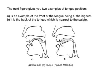 English Vowel Sounds - Phonetics and Phonology | PPTX