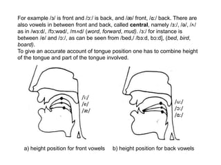 English Vowel Sounds - Phonetics and Phonology | PPTX